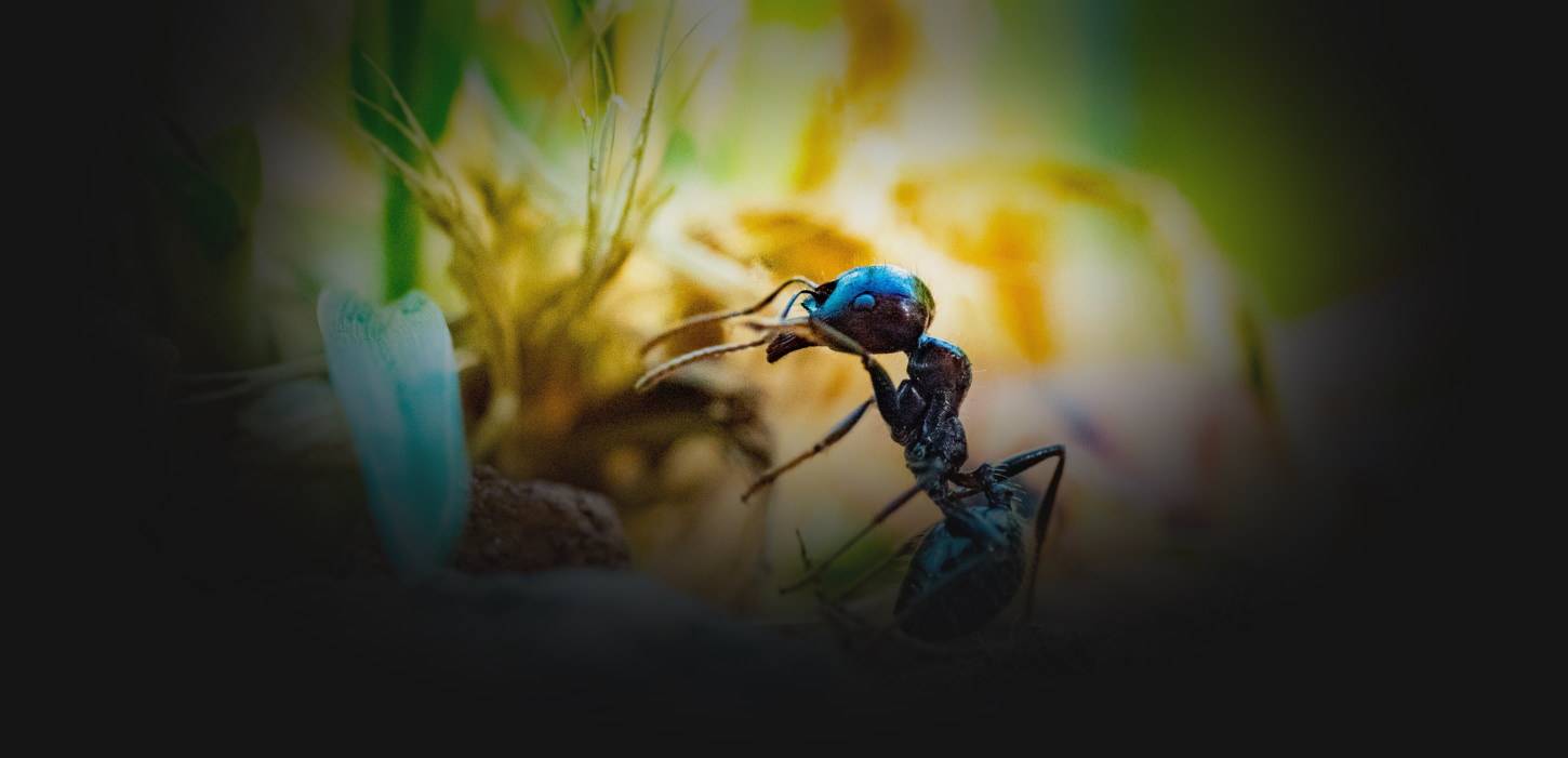 Catalog - Gallium Powered